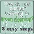 How do I get started switching to green cleaning? 5 easy steps - Pins ...