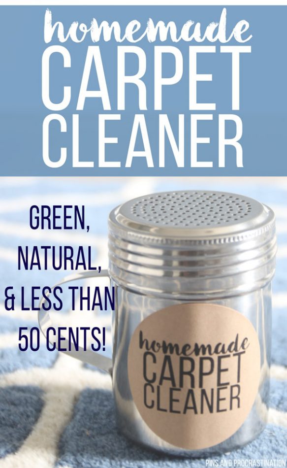 Homemade Carpet Cleaner and Deodorizer - Pins and Procrastination