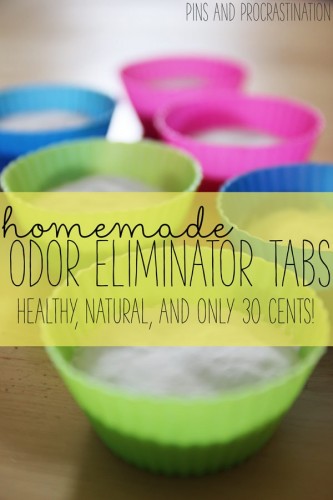 Homemade Odor Eliminator Tabs - Pins and Procrastination